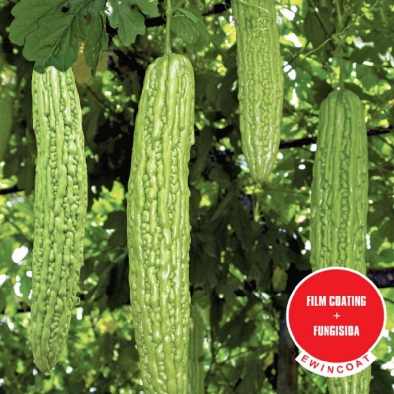 Jual 50++ benih pare unggul F1 bibit pertanian tanaman sayur sayuran ...