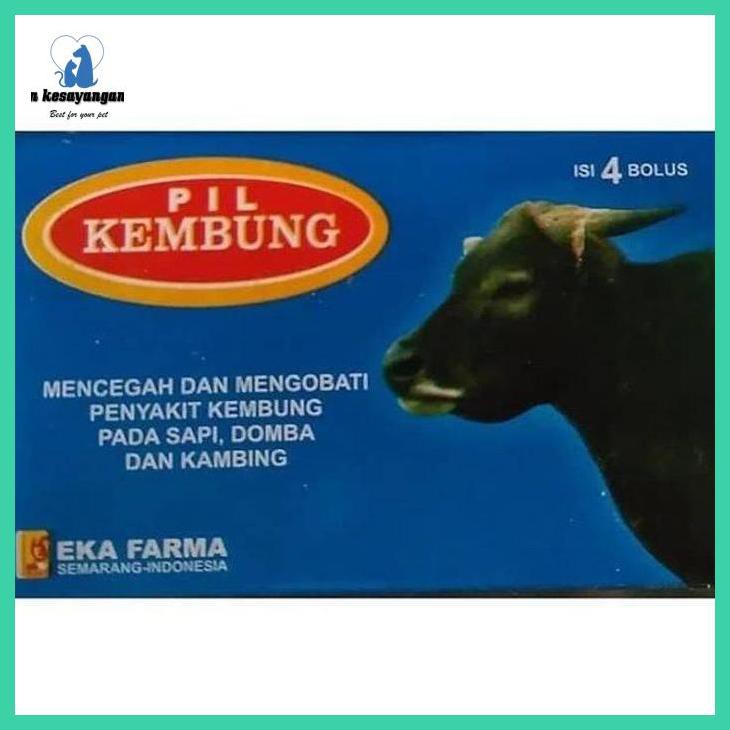 Jual Obat Kembung Kambing Domba Kerbau Sapi Pedet Cempe Babi | Shopee ...