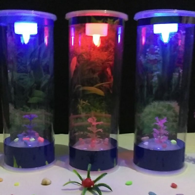 Jual [PROMO] 1SET Aquarium Mini Tabung Bulat Akuarium Mika Cocok Cupang ...