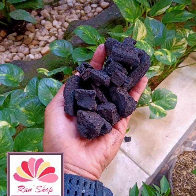 Jual MEDIA TANAM ARANG KAYU BAKAR UNTUK ANGGREK | Shopee Indonesia