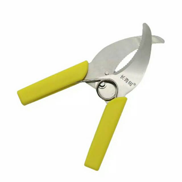 Jual Tang Gunting Ring Bergerigi Tajam Alat Untuk Mempermudah Cangkok ...