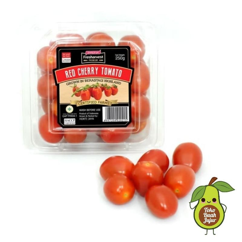 Jual TOMAT CHERRY BERASTAGI TOMAT CERI | Shopee Indonesia