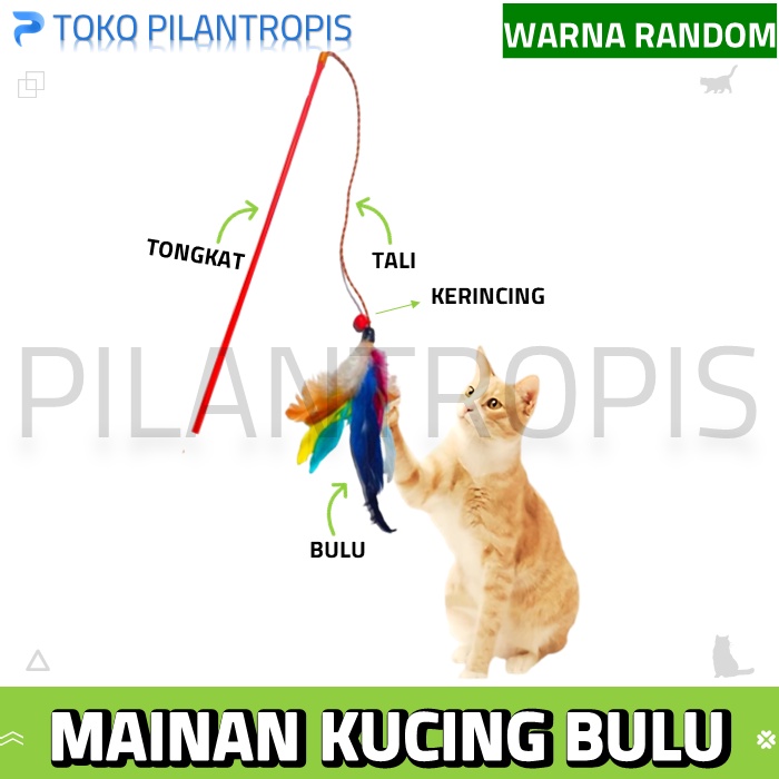Jual MAINAN KUCING CAT TEASER TONGKAT KUCING STIK STICK BULU LONCENG ...