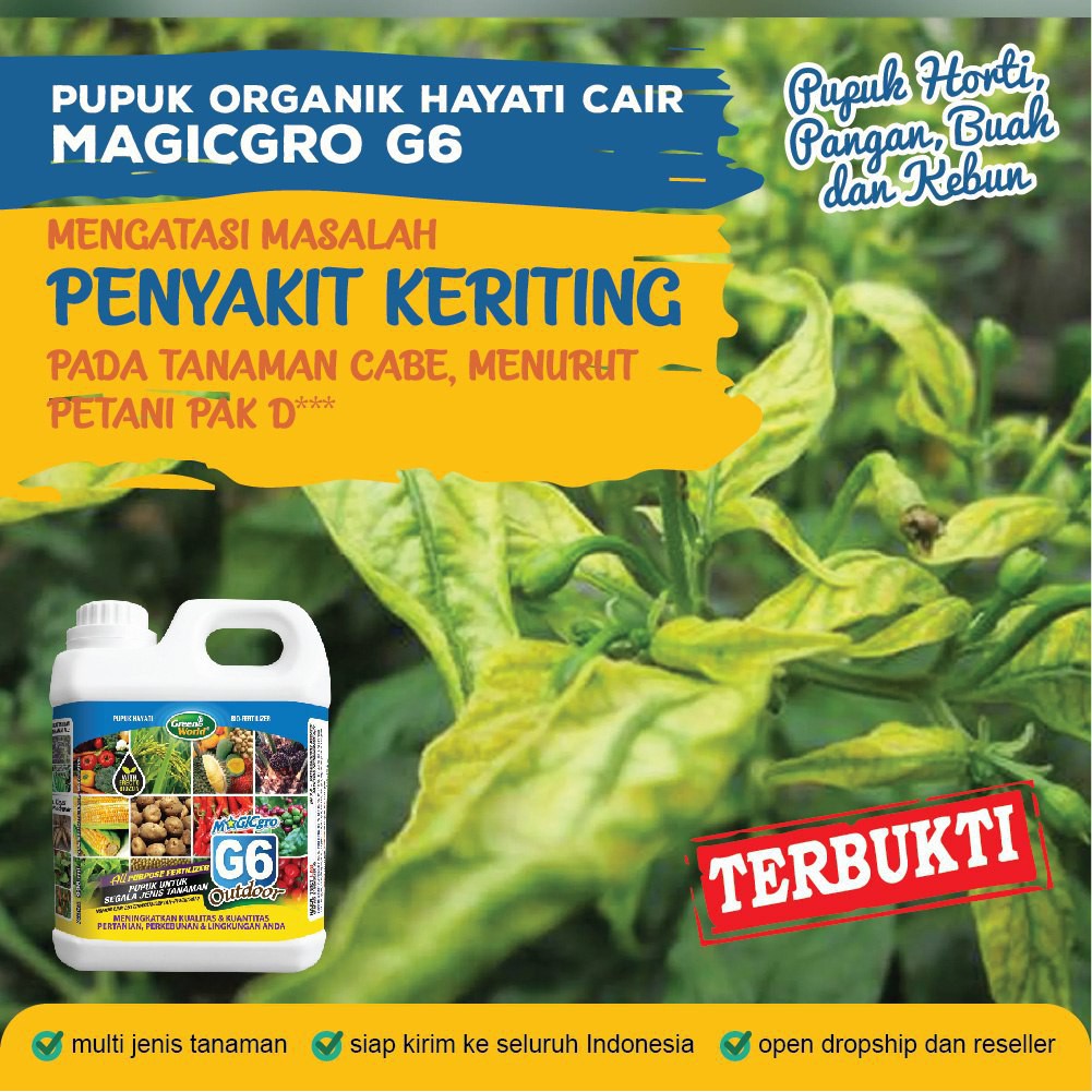 Jual PROMO (BERHASIL MENGATASI PENYAKIT CABE KERITING) Pupuk GW MAGICgro G6 | Shopee Indonesia