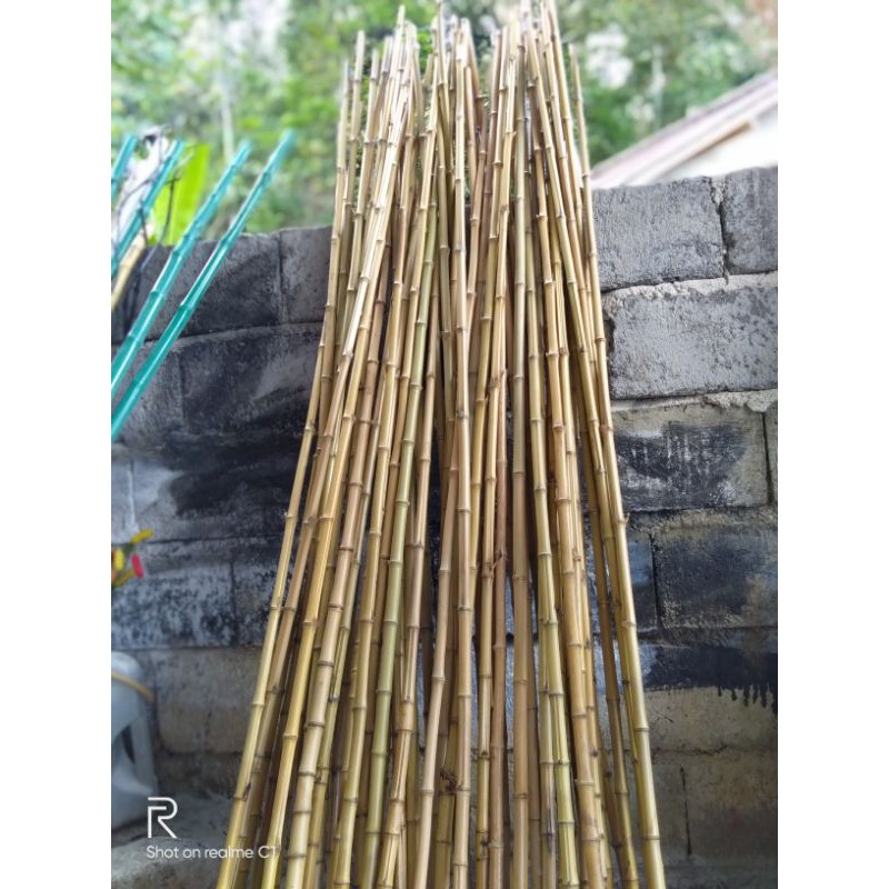 Jual BAMBU CENDANI LURUS T150 CM OPEN BERSIH KOKOH | Shopee Indonesia