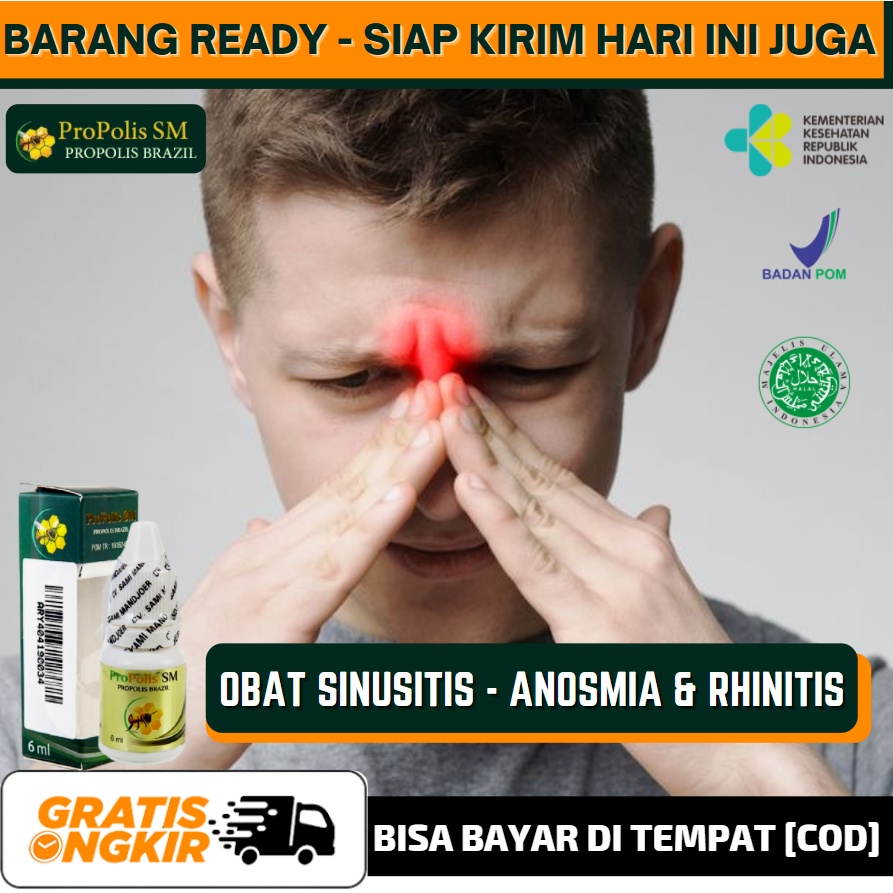 Jual Obat Herbal Sinusitis, Hidung Mampet, Hidung Berlendir Hijau ...