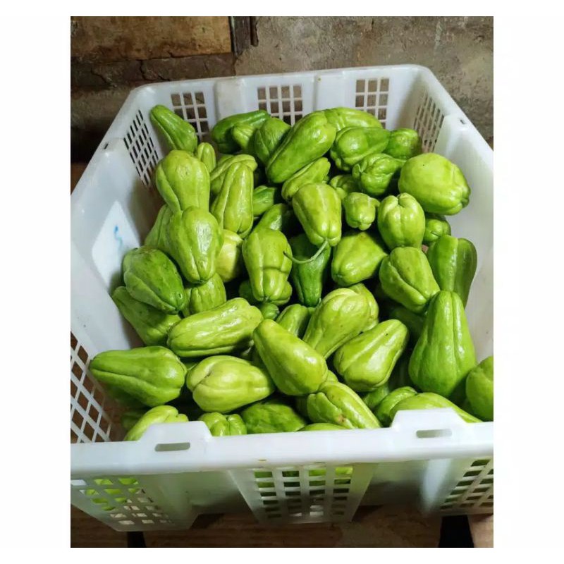 Jual LABU SIAM KECIL ATAU BABY LABU SIAM per 250gram | Shopee Indonesia