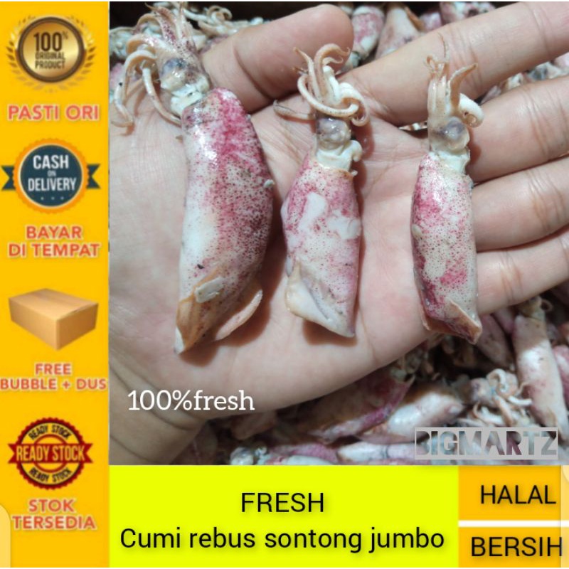 Jual ikan asin cumi rebus fresh/ sotong rebus size sedang-jumbo ...