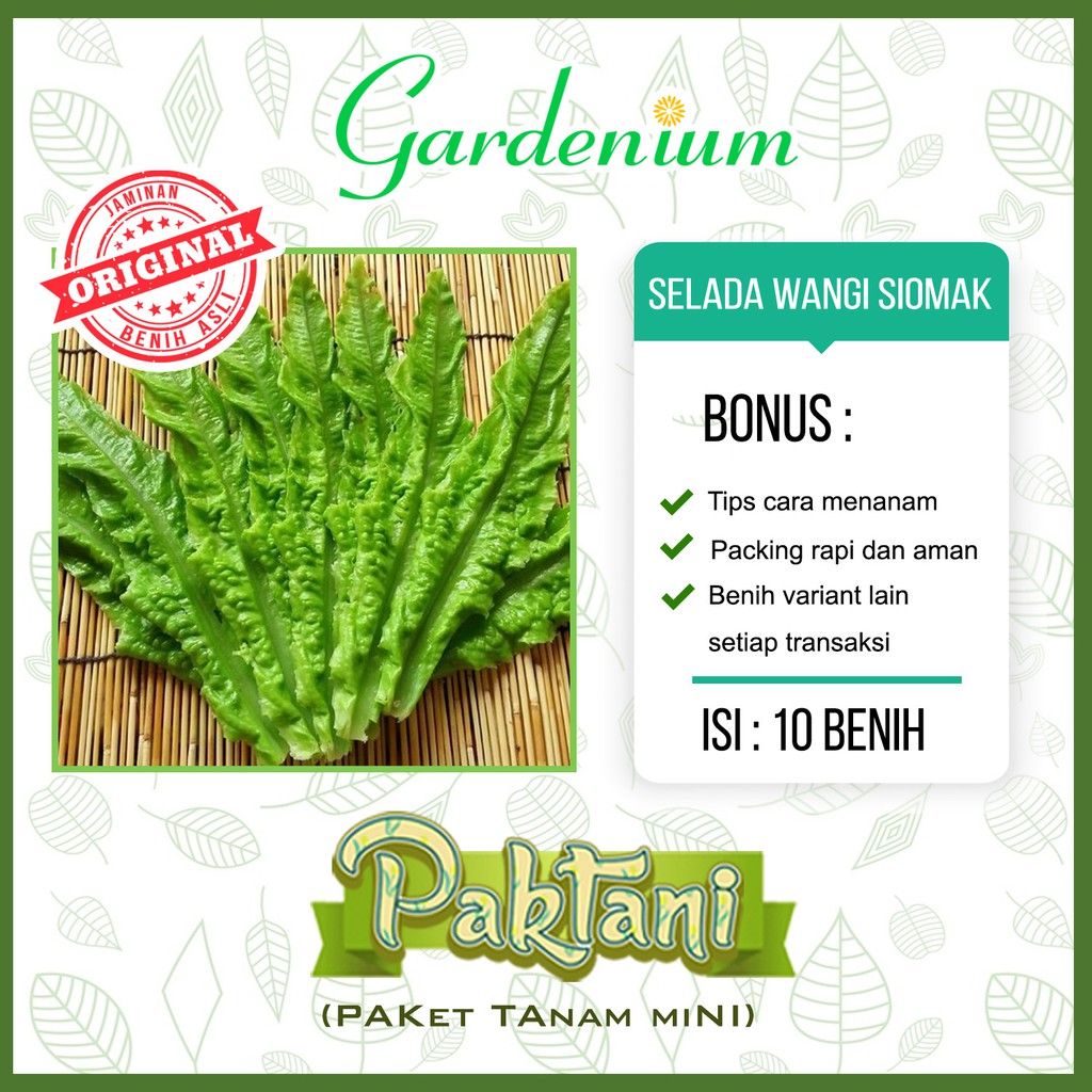 Jual Benih Selada Wangi Siomak Paktani Isi 10 Benih | Shopee Indonesia