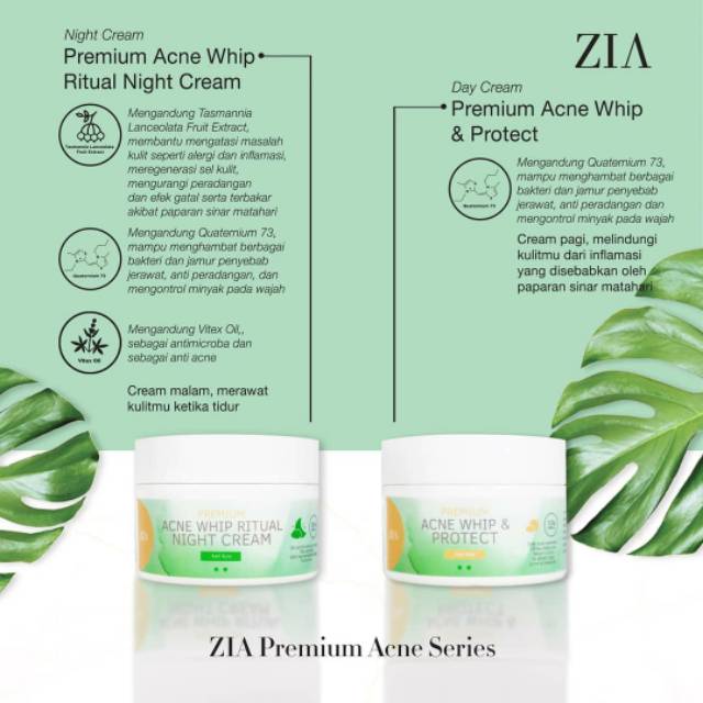 Jual ZIA SKIN CARE PREMIUM ACNE WHIP RITUAL NIGHT CREAM | Shopee Indonesia