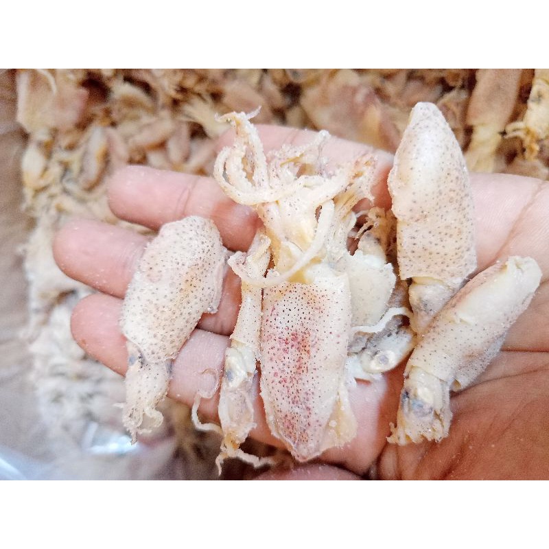 Jual Baby Cumi Asin 1 Kg | Shopee Indonesia