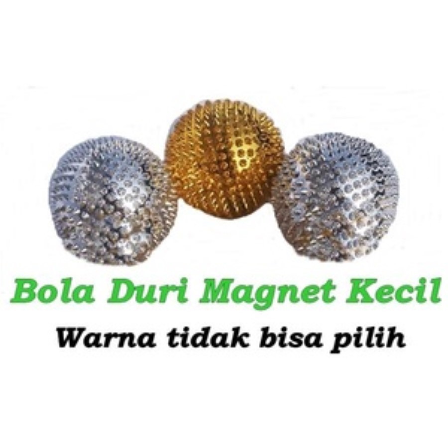 Jual Bola Duri Magnet Bola Pijat Akupuntur - Random Colour | Shopee ...