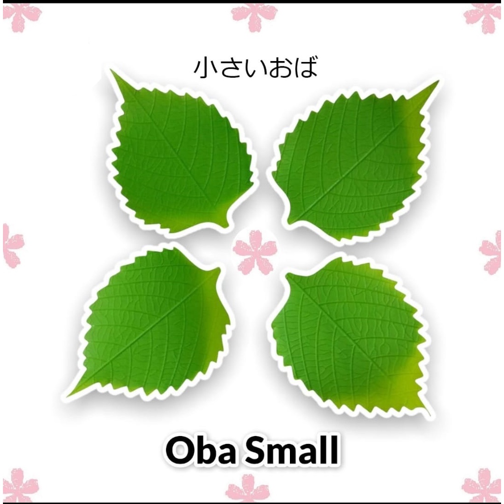 Jual Hiasan dekorasi sekat bento bekal / baran oba divider rumput grass ...