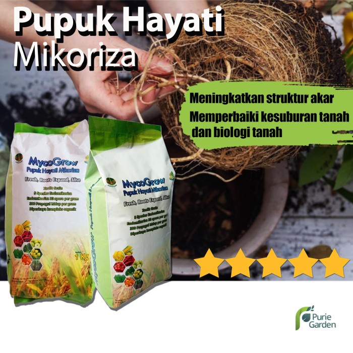 Jual MycoGrow Pupuk Hayati Mikoriza Kemasan 1kg | Shopee Indonesia