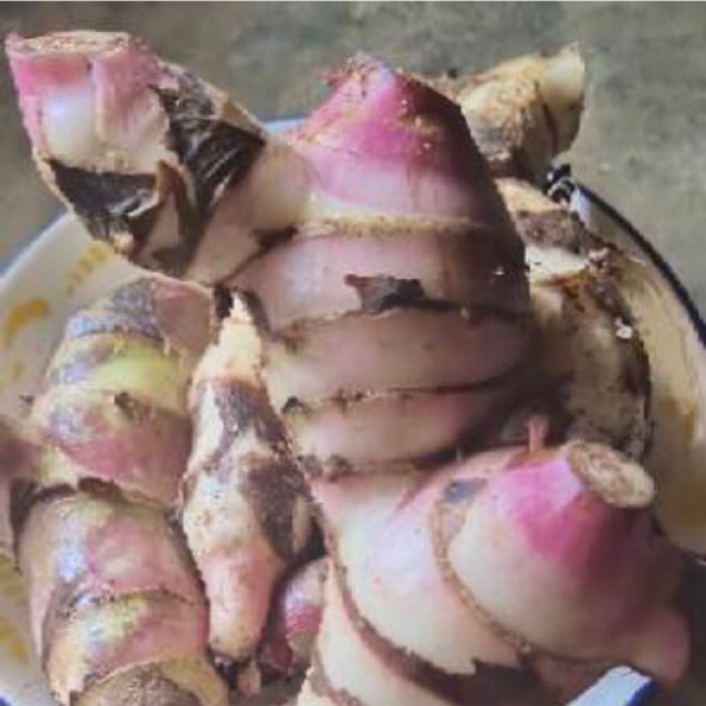 Jual PROMO UMBI GANYONG merah 1 kg | Shopee Indonesia