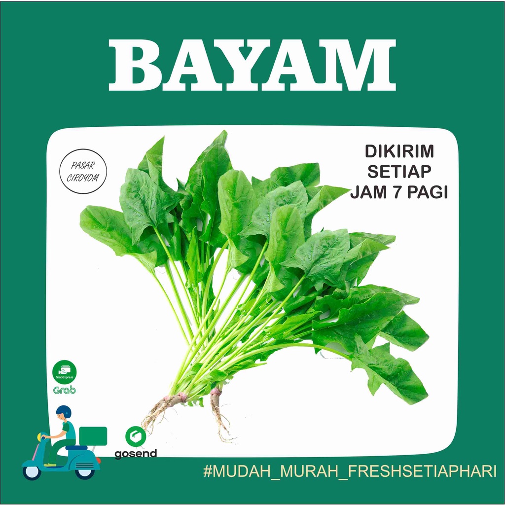 Jual BAYAM FRESH MURAH BANDUNG 1 IKAT / SAYUR ONLINE | Shopee Indonesia