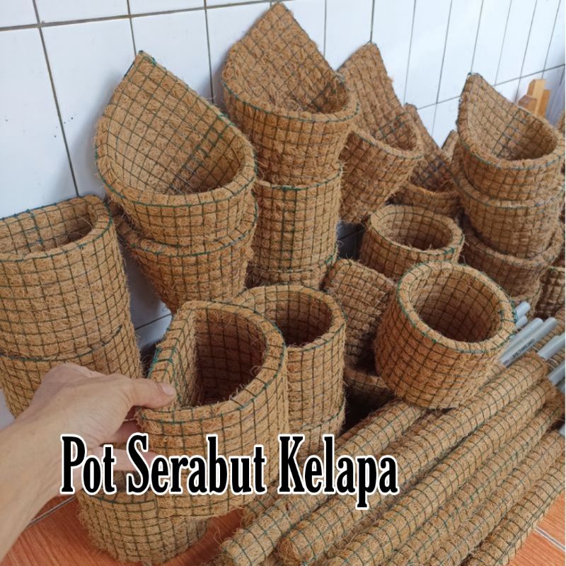 Jual POT TANAMAN BUNGA ANGGREK SERABUT SABUT KELAPA COCOFIBER /PAS ...