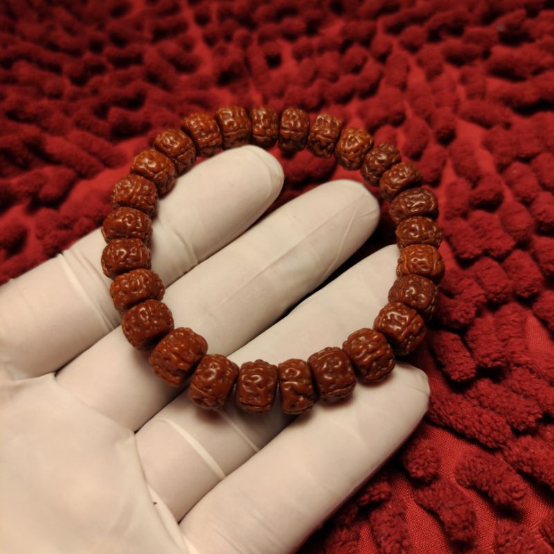 Jual Gelang jenitri rudraksha coklat asli biji genitri | Shopee Indonesia