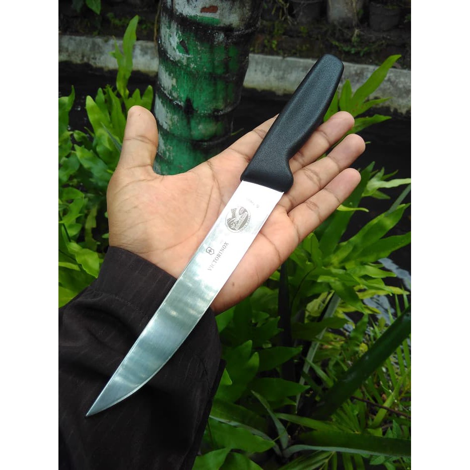 Jual Pisau Carving 15 cm Victorinox Knife 5.1803.15 Original Swiss ...