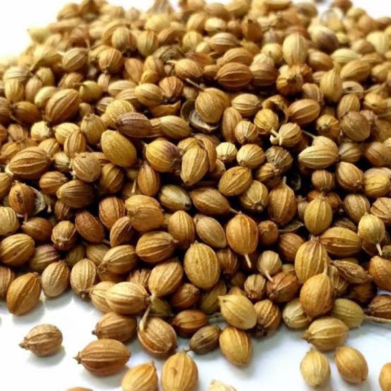 Jual Ketumbar Butir India 100 Gram/Ketumbar Butir Original/Indian ...