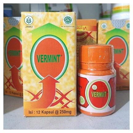 Jual vermint isi 12 vermin fermin fermint extrak kapsul cacing obat ...