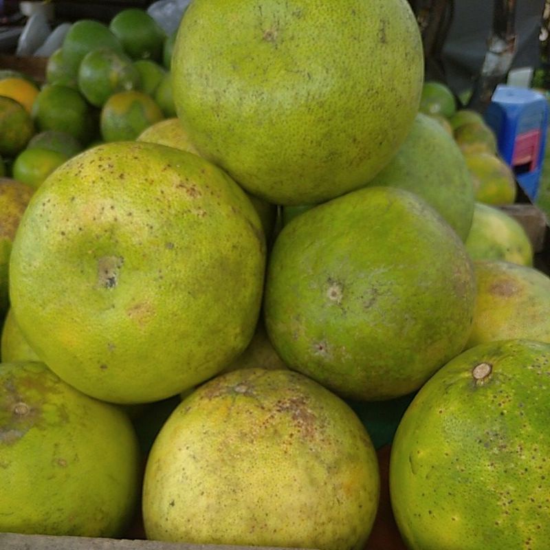 Jual Jeruk Bali besar segar @ satuan | Shopee Indonesia