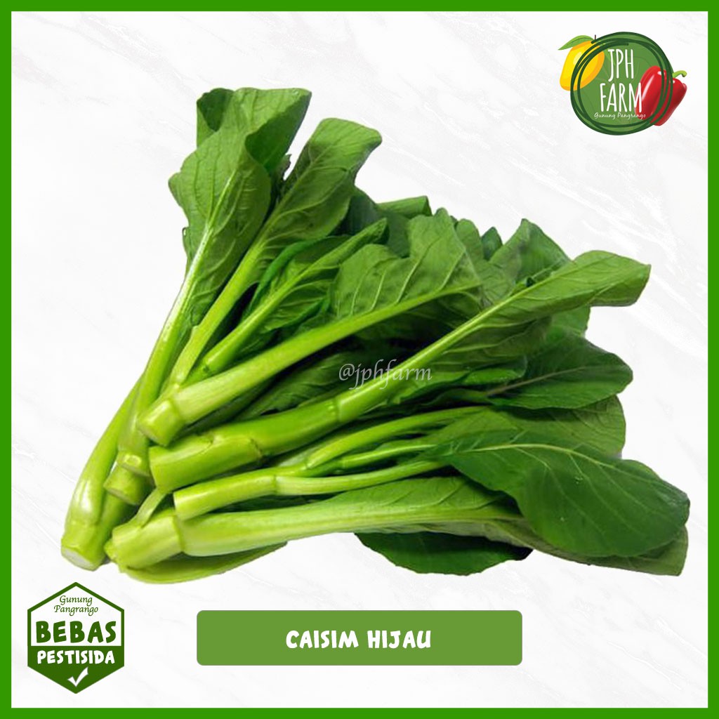 Jual Caisim Sawi Hijau Non Pestisida Cai Sim Sawi 400g | Shopee Indonesia