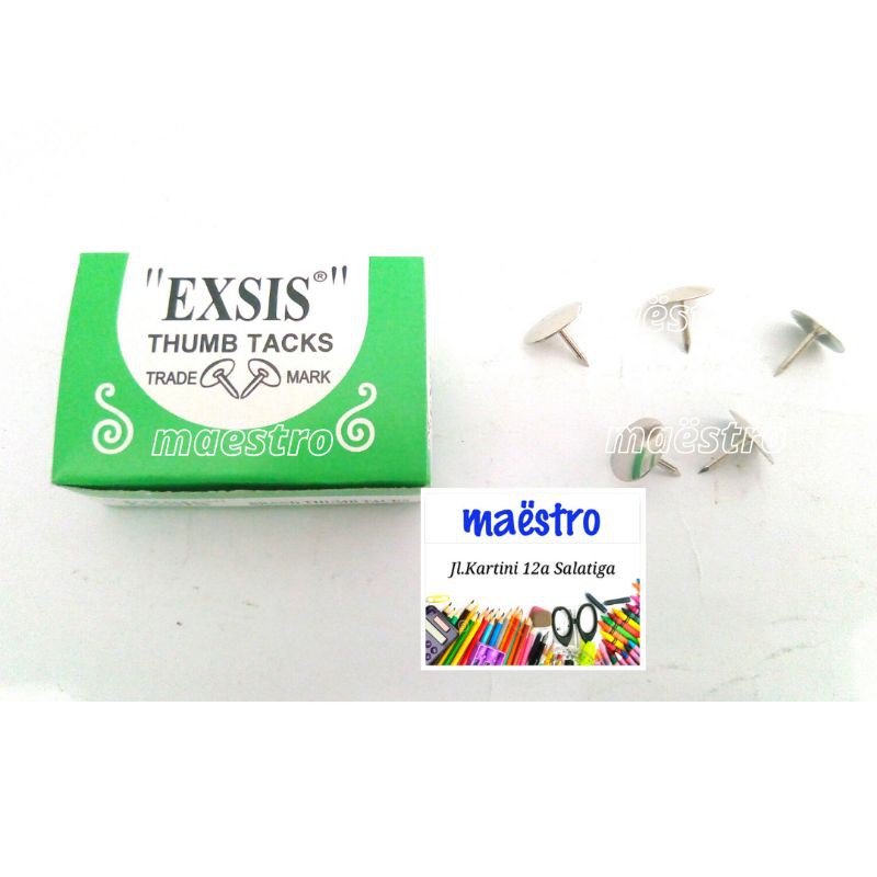 Jual Pines / Paku Payung | Shopee Indonesia