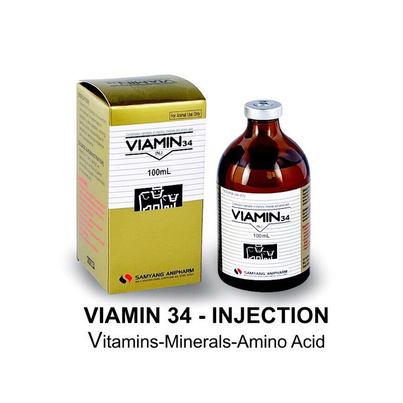 Jual VIAMIN 34 inject 100ml | Shopee Indonesia