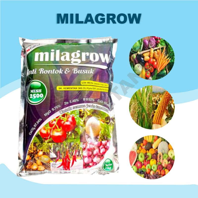 Jual MILAGROW ANTI RONTOK DAN BUSUK MESH 2500 1KG | Shopee Indonesia
