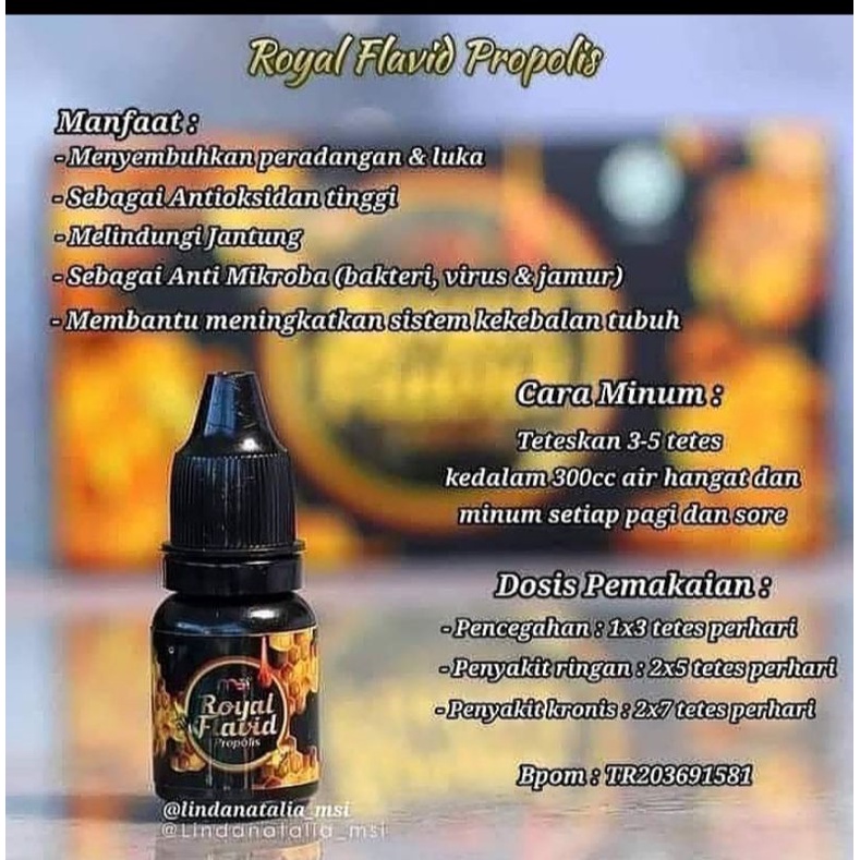 Jual MSI Royal plavid (member resmi) | Shopee Indonesia