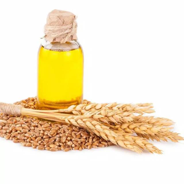 Jual Wheat Germ Oil - minyak Gandum 100ml | Shopee Indonesia