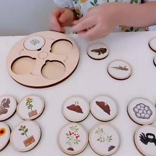 Jual Mainan Edukasi Montessori Wooden Life Cycle Board | Mainan Edukasi ...