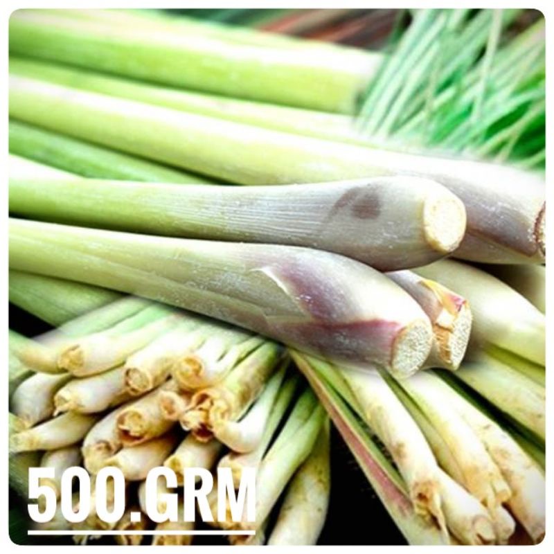 Jual 500grm Serai Sayur / Serai Segar Fresh | Shopee Indonesia