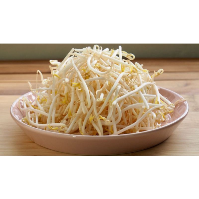 Jual Tauge Segar | Shopee Indonesia