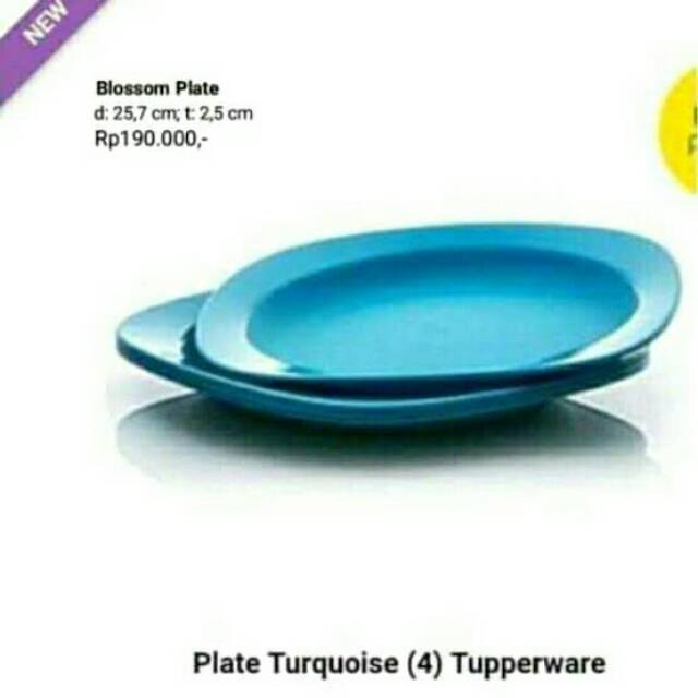 Jual Plate/piring (4pcs) | Shopee Indonesia