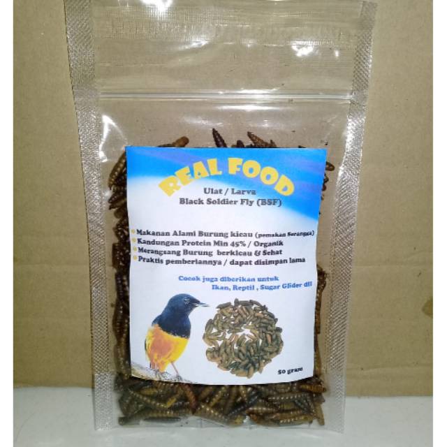 Jual Ulat / Lava Black Soldier Fly (pakan burung murai) | Shopee Indonesia