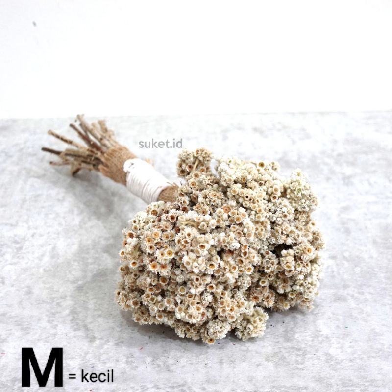 Jual BOUQUET BUNGA EDELWEIS (bunga buket Abadi) | Shopee Indonesia