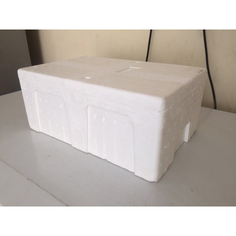 Jual paking gabus sterofoam box/cool box kecil 5kg | Shopee Indonesia