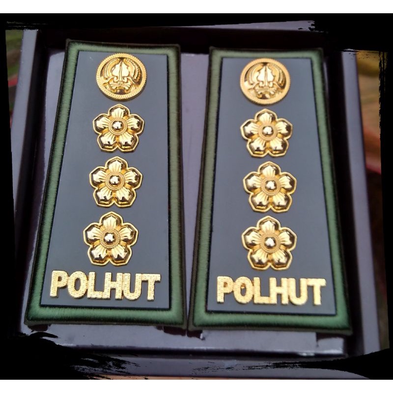 Jual PANGKAT POLHUT GOLONGAN 4B 4B | Shopee Indonesia