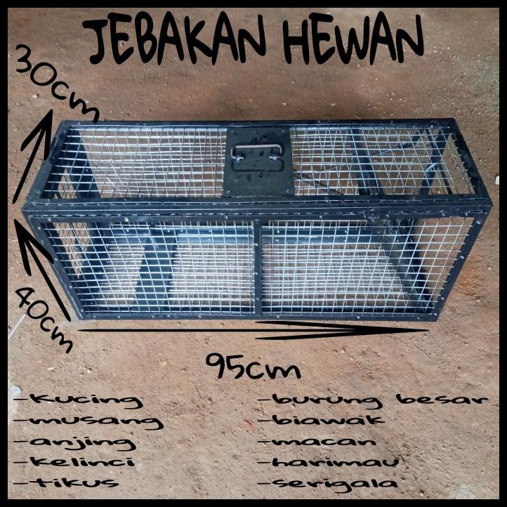Jual Jebakan Tikus Massal & Jebakan Musang -Jebakan Hewan Ukuran Besar ...
