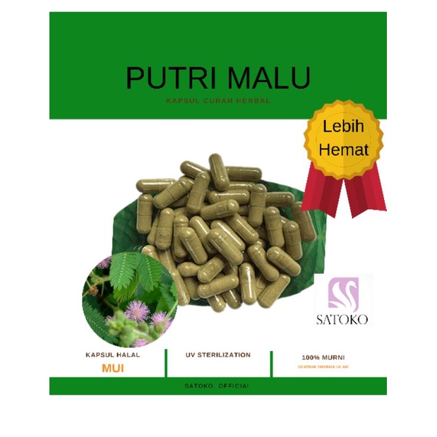 Jual KAPSUL CURAH HERBAL PUTRI MALU ISI 100 | Shopee Indonesia