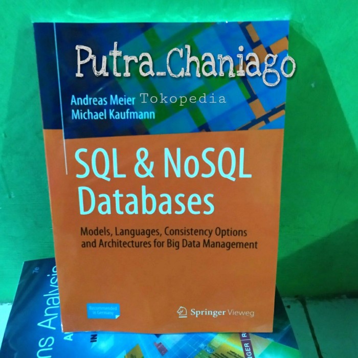 Jual Buku SQL & NoSQL Databases Models Languages by Andreas meier ...