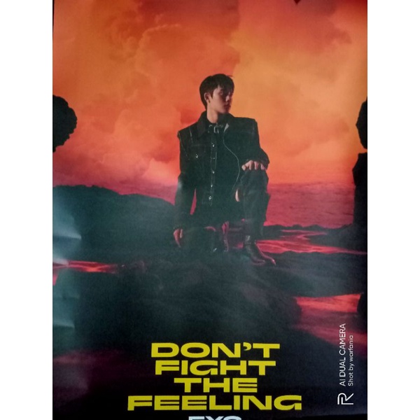Jual POSTER EXO DFTF | Shopee Indonesia