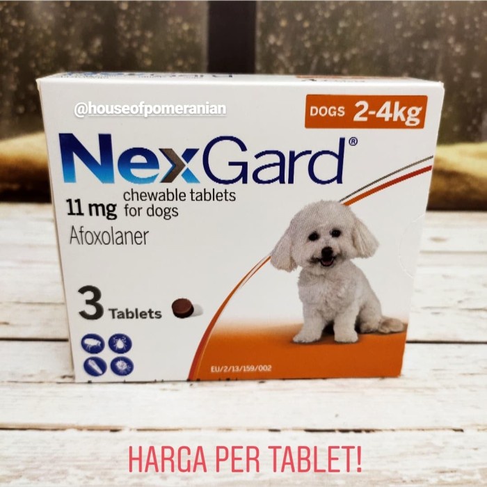 Jual obat kutu anjing demodex NEXGARD 2-4kg anti flea n tick dog | Shopee Indonesia