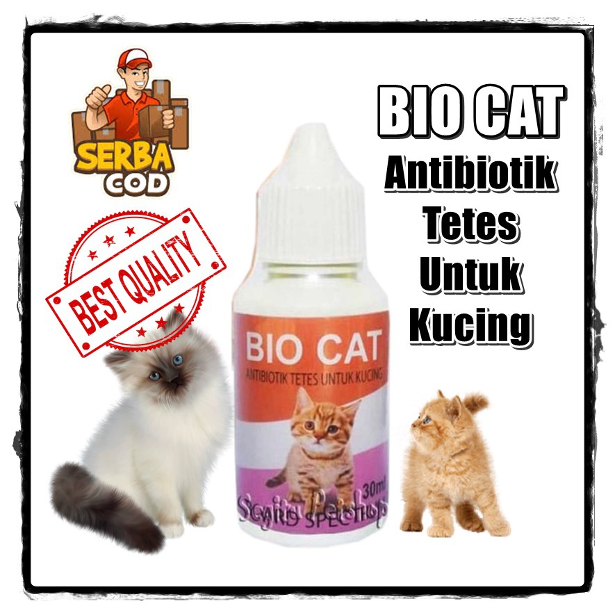 Jual Obat Kucing Antibiotik Kucing Obat Demam Flu Batuk Diare Infeksi ...