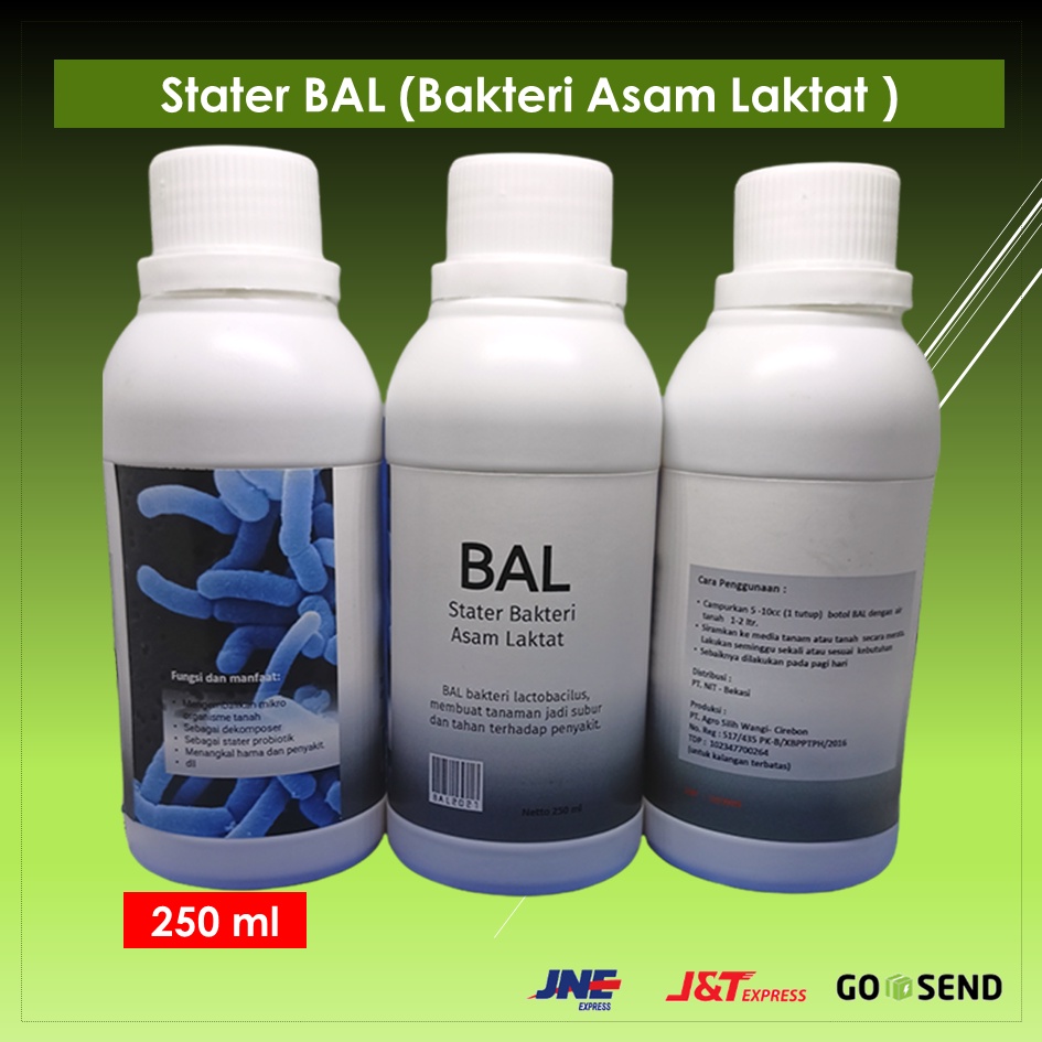 Jual BAL Bakteri Asam Laktat Lactobacilus Pupuk Probiotik Penyubur Pengendali Hama dan Penyakit ...