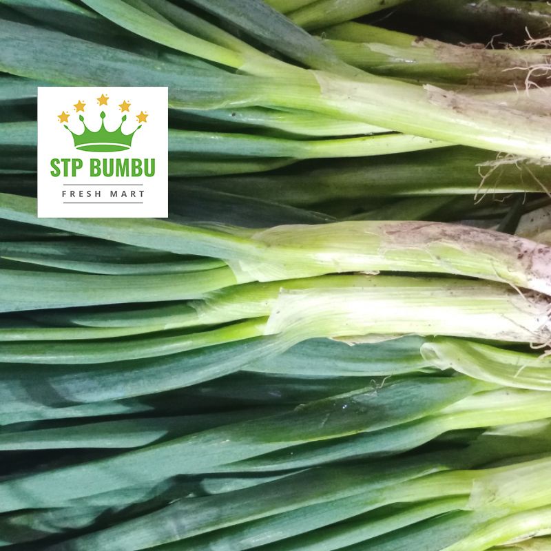 Jual Daun Bawang Segar Fresh 50 gram - 100 gram | Shopee Indonesia