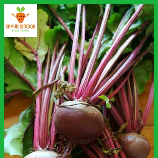 Jual Beetroot 1kg | Shopee Indonesia