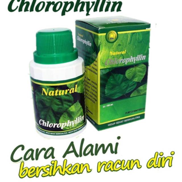 Jual NCP CLOROPYL NASA PEMBERSIH RACUN DALAM TUBUH ( STOP) | Shopee ...